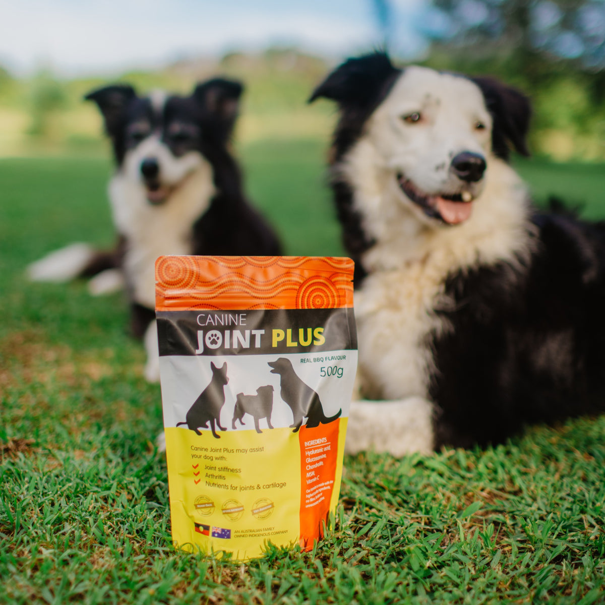 Canine Joint Plus™️ – Aussie Joint Health Ltd