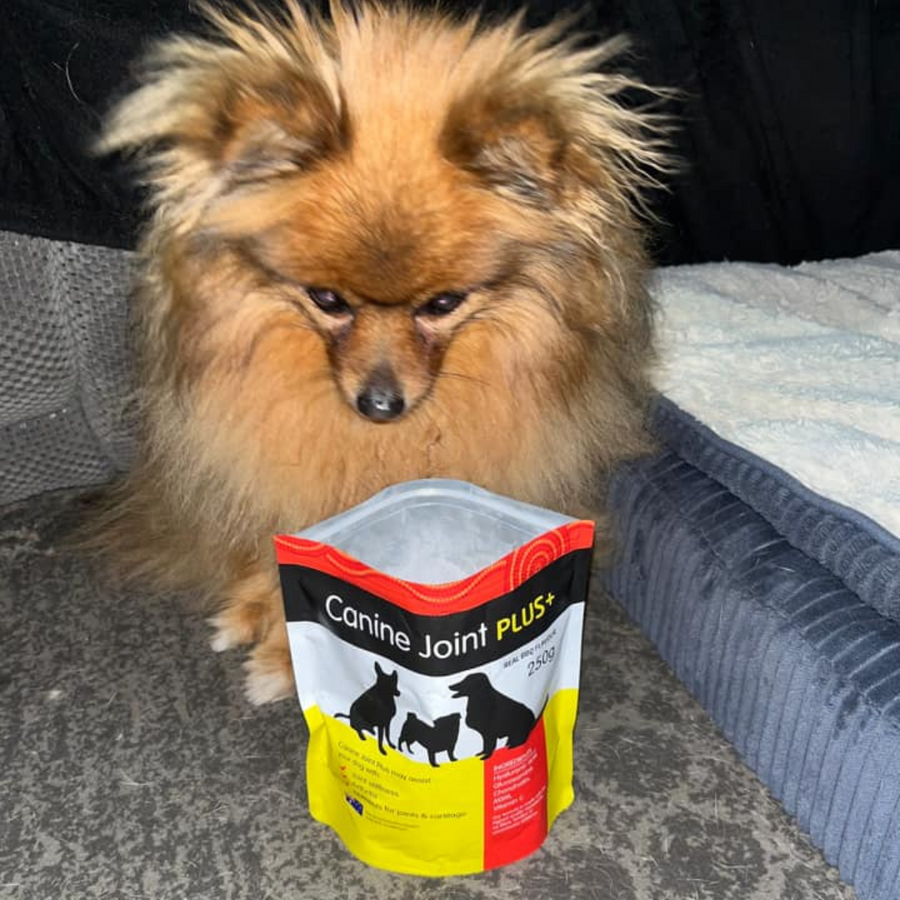 Canine Joint Plus™️ – Aussie Joint Health Ltd