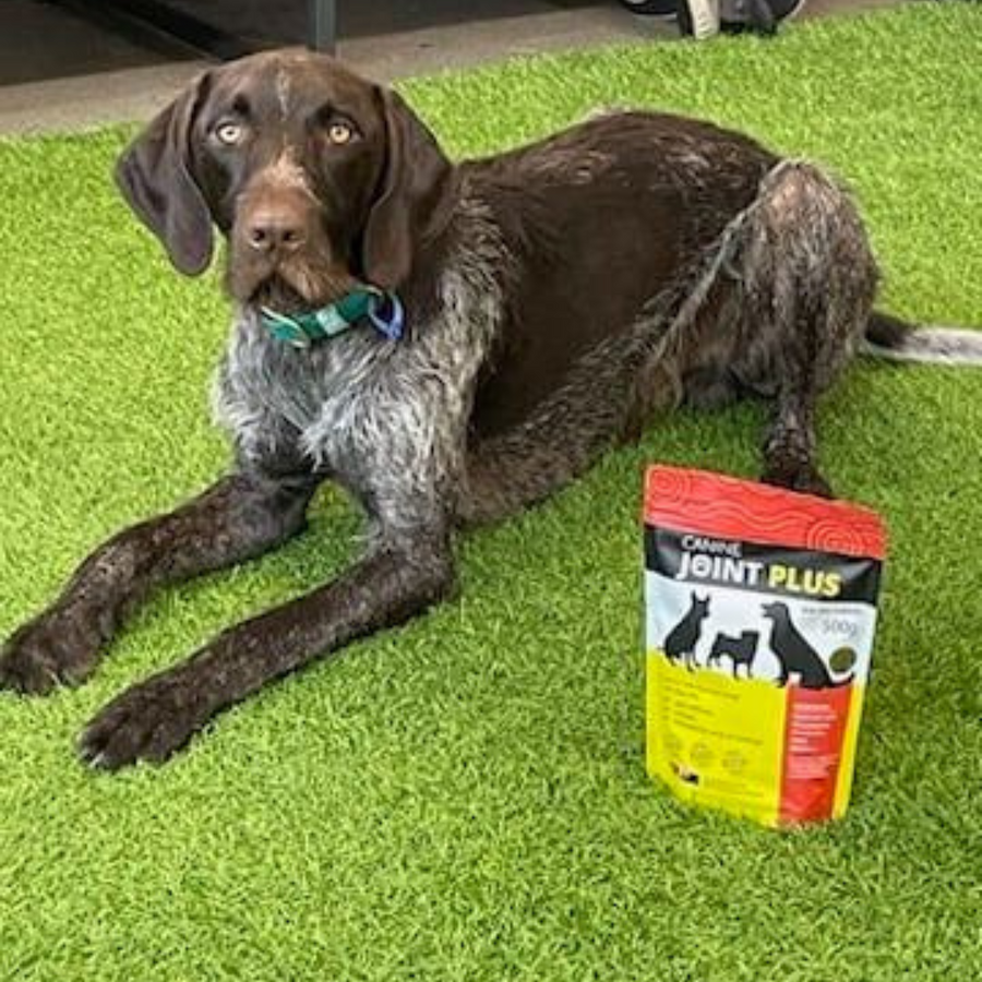 Canine Joint Plus™️ – Aussie Joint Health Ltd