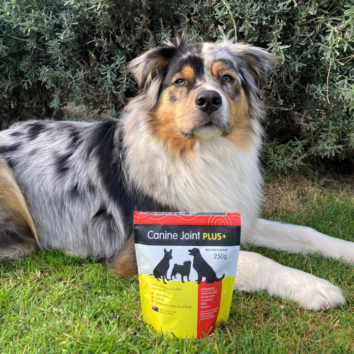 Canine Joint Plus™️ – Aussie Joint Health Ltd