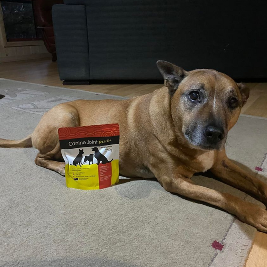 Canine Joint Plus™️ – Aussie Joint Health Ltd