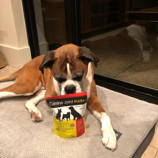 Canine Joint Plus™️ – Aussie Joint Health Ltd